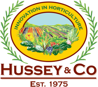 Hussey & Co. Hussey & Co.